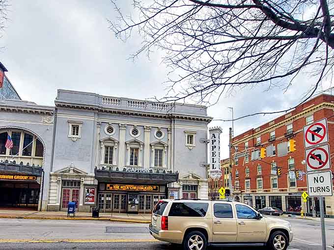 York's downtown streetscape in spring is the kind of scene that makes you want to slow down and actually look around.