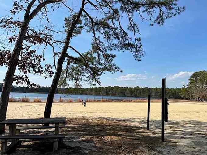 Sandy shores, pine-scented air, and open blue skies, Bass River's beach is New Jersey's best-kept lakeside secret.