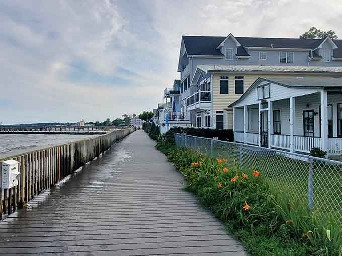 Wild daylilies blooming along North Beach's boardwalk beside the open bay make this humble little walkway feel like a surprisingly romantic discovery.