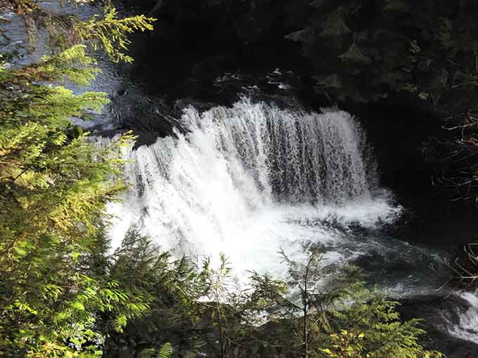 White water crashes over dark rocks in stages, each cascade building momentum as it tumbles toward the forest.