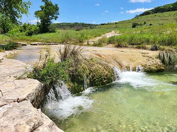 Clear spring water tumbles cheerfully over limestone ledges at Balcones Canyonlands, sparkling like it knows exactly how good it looks.