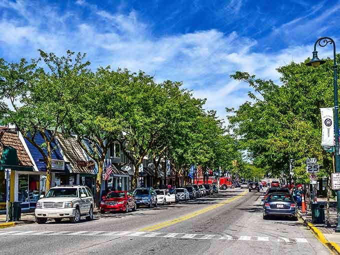 Tree-canopied and glowing under a vivid blue sky, Charlevoix's downtown street is basically a postcard that learned to walk.