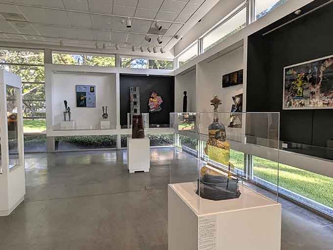 Sculptures under glass catch the afternoon light streaming through gallery windows, with the lush campus greenery just beyond adding a perfect natural backdrop.