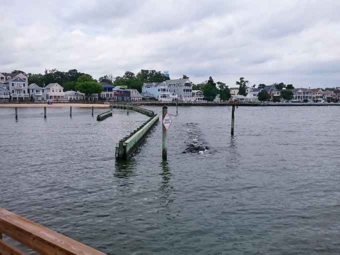 North Beach's colorful shoreline homes seen from across the Chesapeake water prove that sometimes the most satisfying view is the one closest to home.