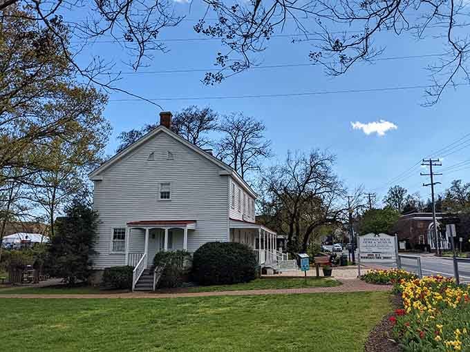 A charming white historic house stands beautifully on a green lawn bordered by a vibrant bed of colorful spring tulips.