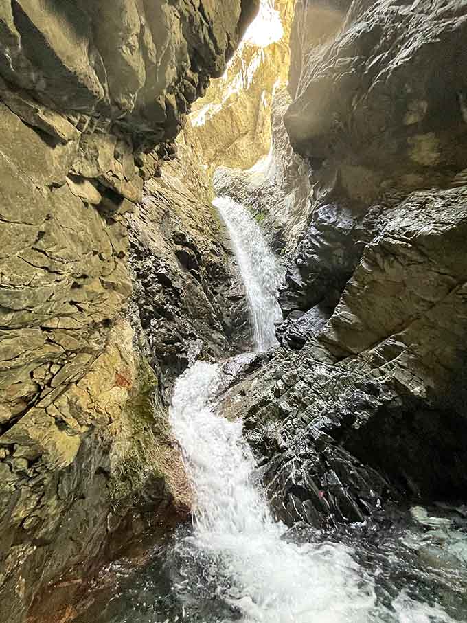 Golden light filters down through the crack above Zapata Falls, making this hidden gem feel like a secret the mountains kept just for you.