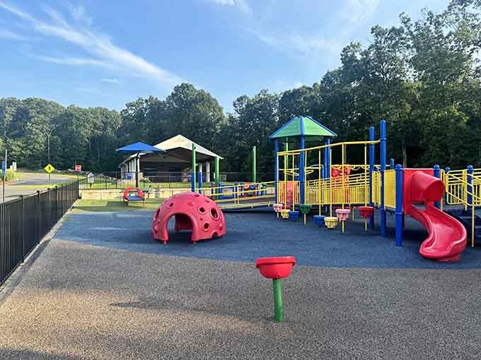 Step back and take it all in. Adam's Adventure is a whole world packed into one incredible Connecticut space.