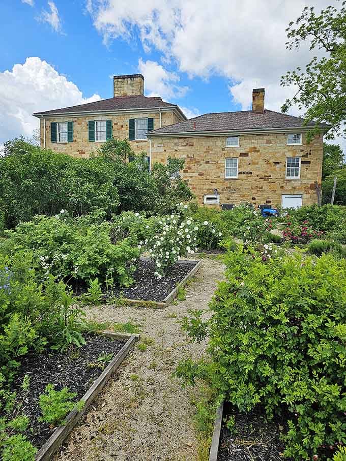 White roses, lush raised beds, and a gravel path make this summer garden an absolute feast for tired eyes.