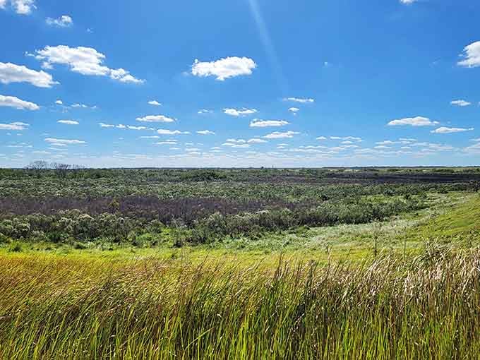 Rolling hills stretch to the horizon, a landscape that shouldn't exist in Florida but absolutely does right here.