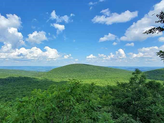 Rolling green hills that look exactly like the screensaver you never knew you needed until right this very moment.