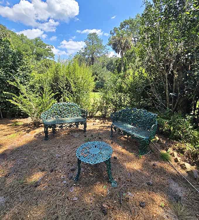 Two ornate iron benches and a little table tucked into the greenery. This is where good conversations happen.