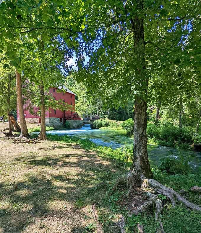 Dappled sunlight, twisted roots, and that red mill peeking through the trees. Missouri, you've been holding out on us.