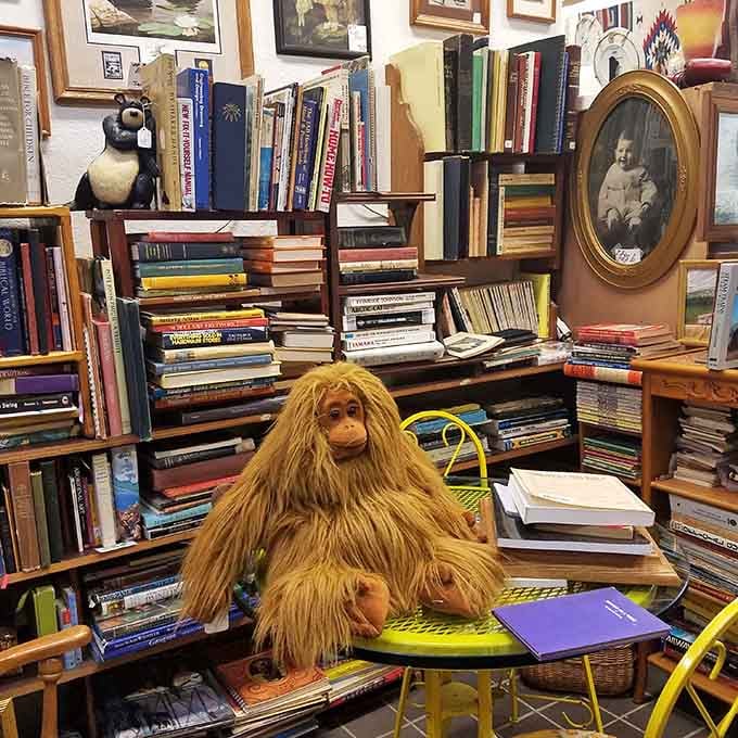 Somewhere between the stacked books and the stuffed orangutan, you realize this booth has its own distinct personality and opinions.