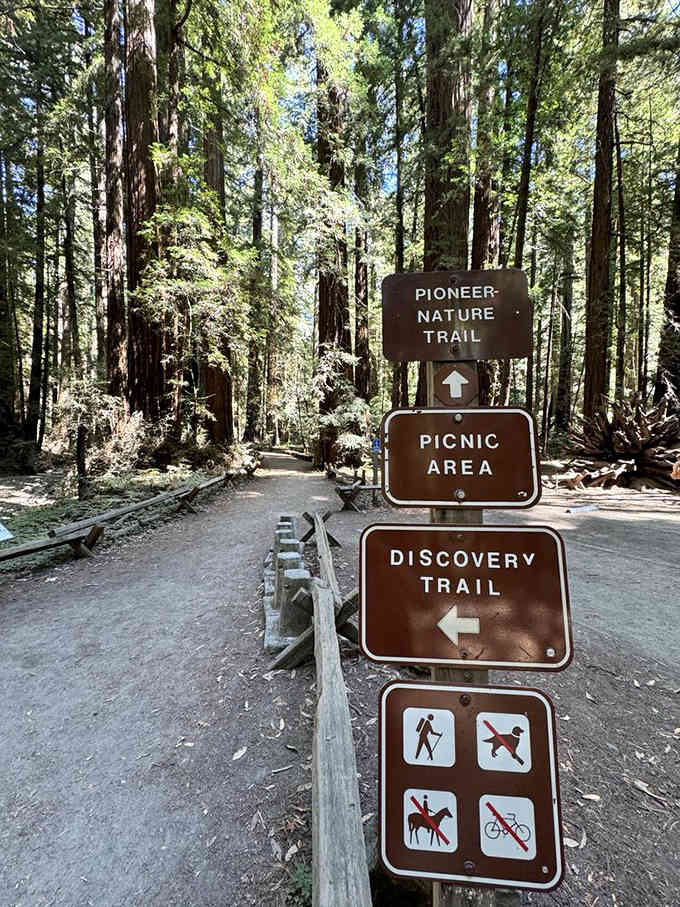 Three trails, one picnic area, and zero excuses not to spend the whole afternoon here.