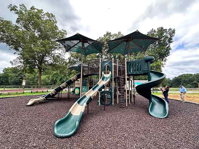 A playground surrounded by open Georgia sky, because the kids need somewhere to burn off all that giraffe excitement.