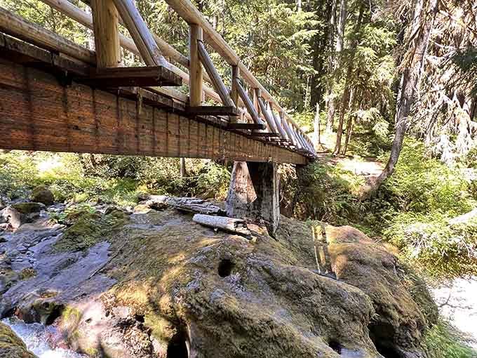 Mossy boulders cradle the wooden bridge below, reminding you that nature does excellent structural work.
