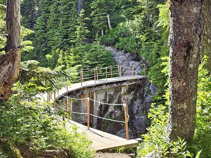 This little bridge is proof that the best adventures often start with a single, charming crossing.