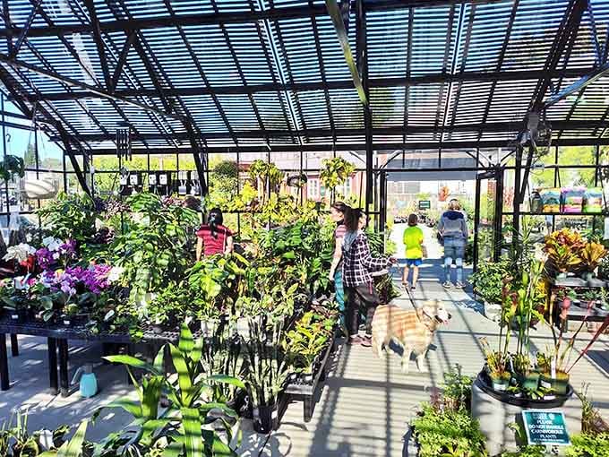 Even the dog knows this place is special. Smart pup, excellent taste in garden centers.