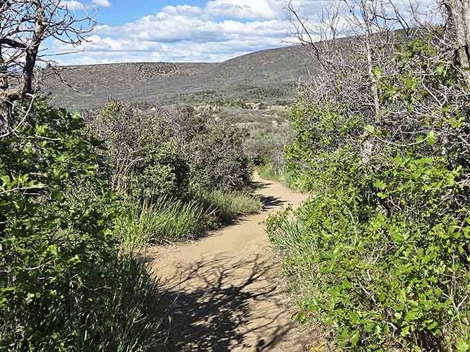 Trail winding through scrubland, leading adventurers toward perspectives that cameras can't quite capture accurately.