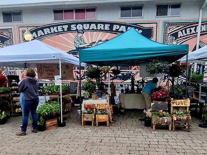 The Blacksburg Farmers Market at Market Square Park: fresh plants, good people, and zero reasons to rush home.
