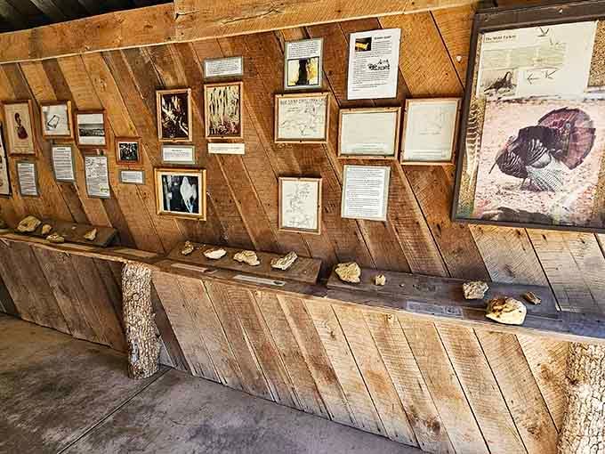 Rocks, maps, and framed history on rustic wooden walls. This little exhibit punches well above its weight.