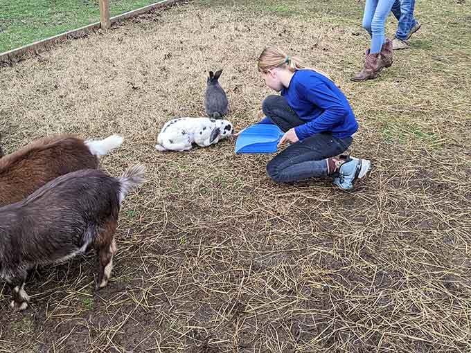 Goats, rabbits, and one very patient kid. The farm animals here are genuinely delightful company.