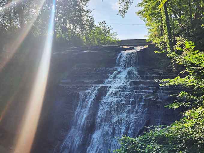 Morning light hits Brandywine Falls like a spotlight, and honestly, it's earned every bit of that attention.