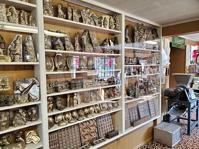 Rows of antique chocolate molds that tell the story of candy-making craftsmanship spanning generations of sweet tradition.