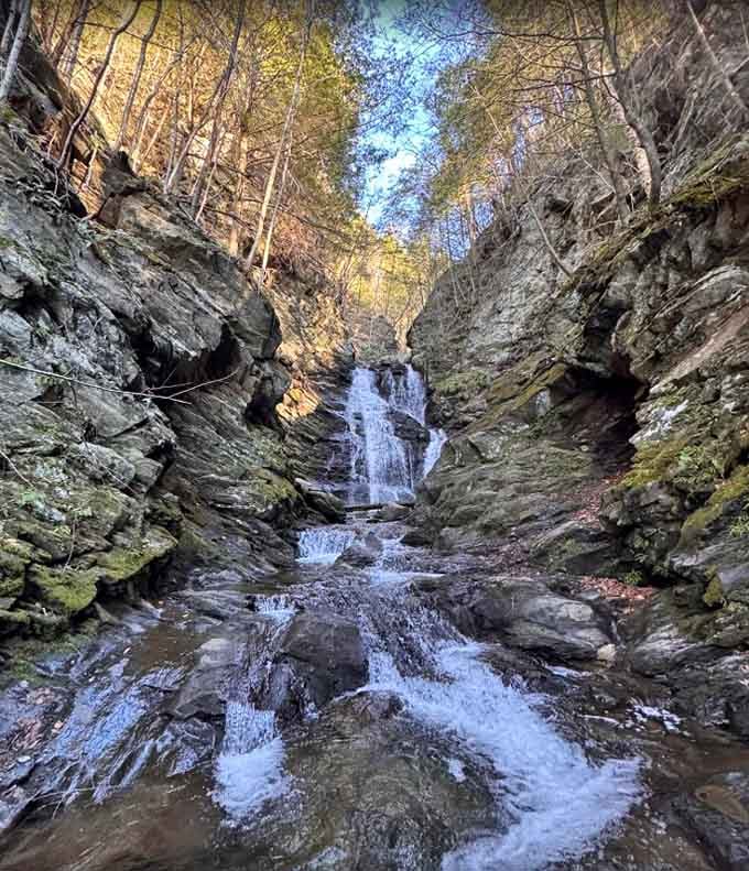 There it is. The waterfall that makes every step of this short hike feel like the best decision you've made all week.