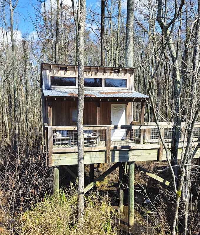 Modern treehouse meets winter forest, creating that perfect blend of rustic charm and structural integrity.