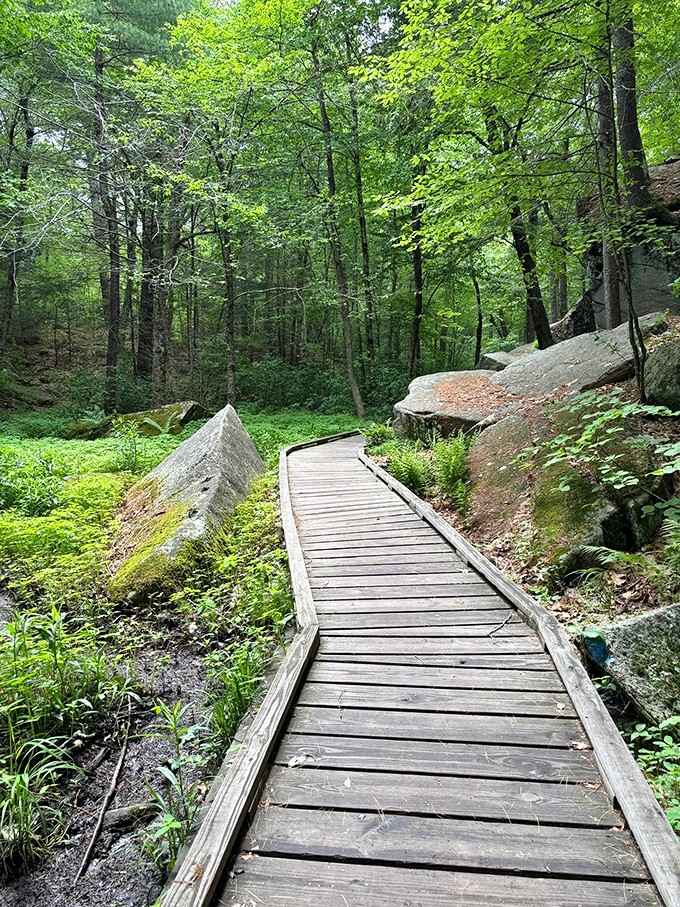 This boardwalk is proof that even the most rugged places know how to roll out the welcome mat.