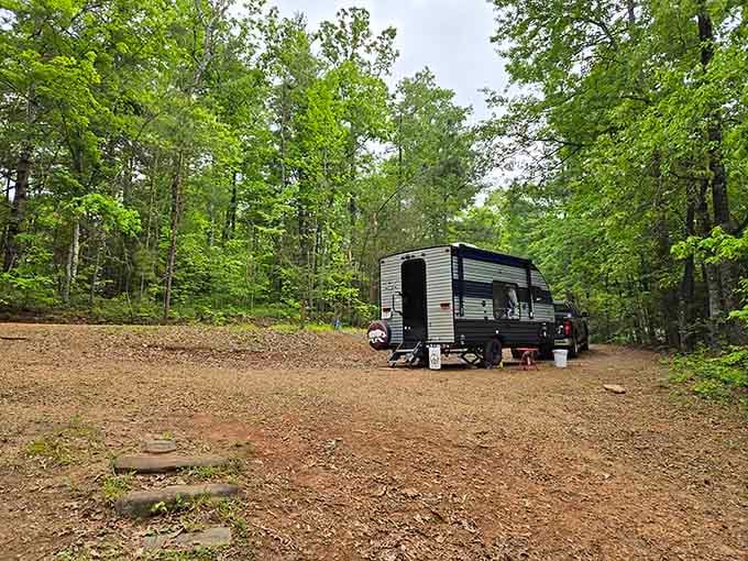 Parked among the trees with forest on all sides. RV camping here means waking up to a view that no hotel can match.