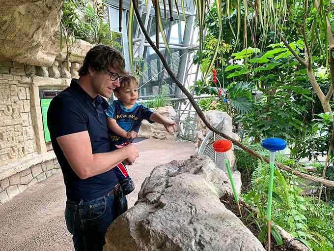 Watching butterflies together beats any screen time, creating memories that'll outlast whatever's trending on social media this week anyway.