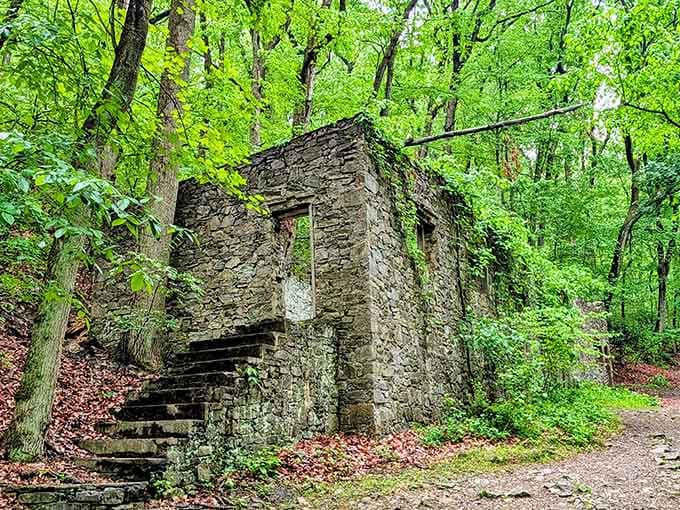 Moss-covered stone walls enclose a floor of earth and greenery, nature's own interior decorating at work.