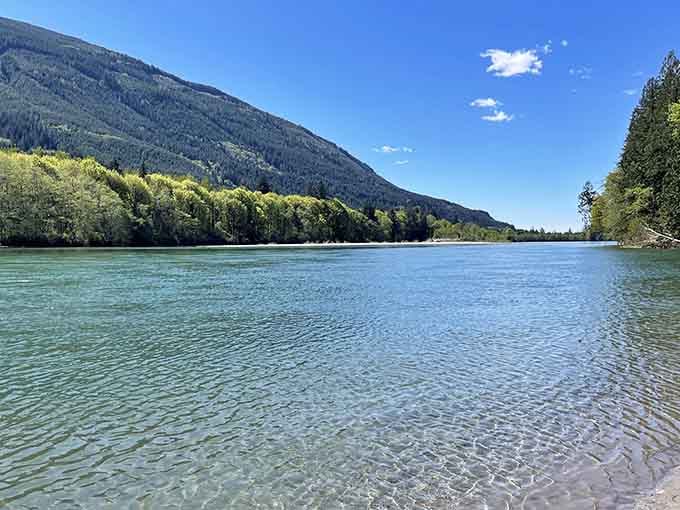 The Skagit River runs clear and cold, the kind of water that makes you want to stay forever.