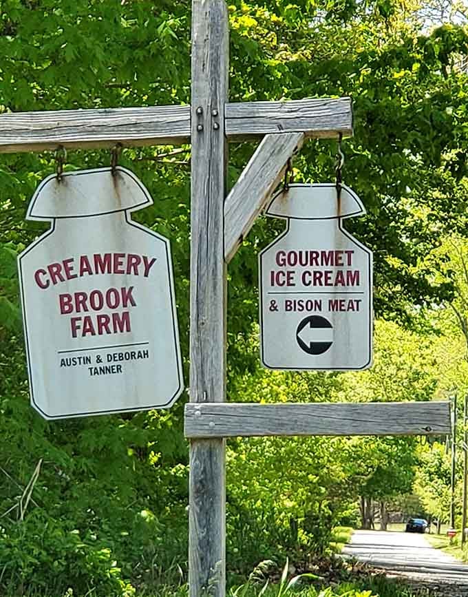 Two wooden signs, one quiet road, and a promise of gourmet ice cream and bison meat. Turn left immediately.