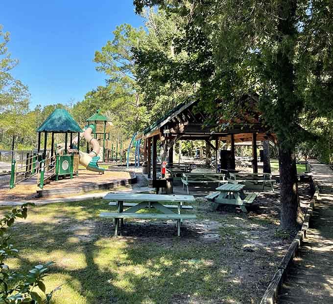 Picnic tables shaded by towering trees, because every great swamp adventure deserves a proper lunch break.