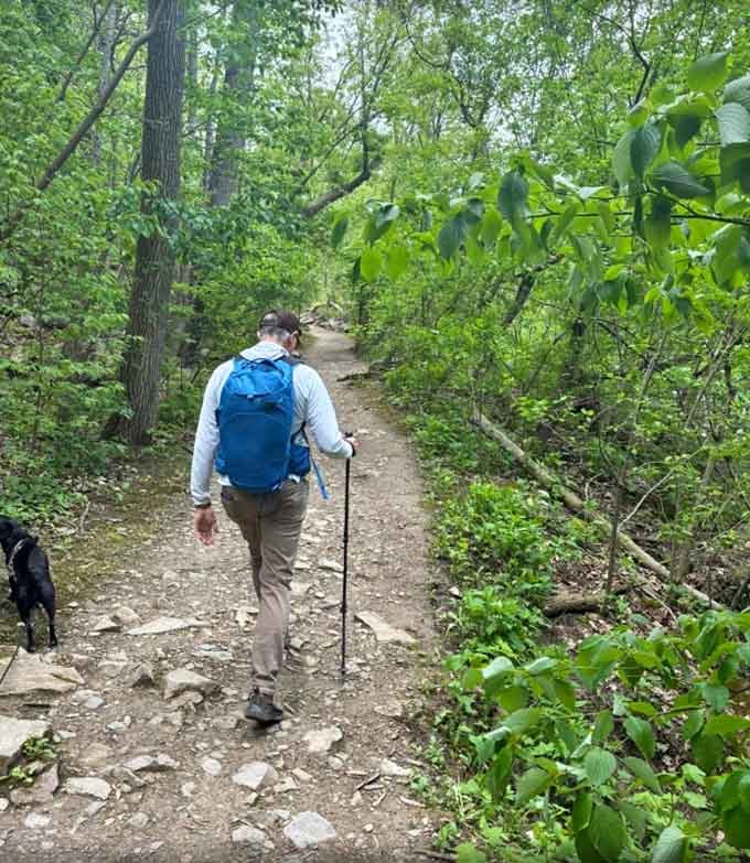 Hiking poles, a good dog, and a trail that rewards every single step with something worth seeing.