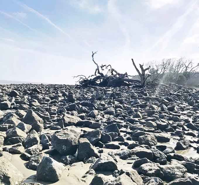 Rocky, rugged, and wildly beautiful, this stretch of shoreline plays by its own rules entirely.