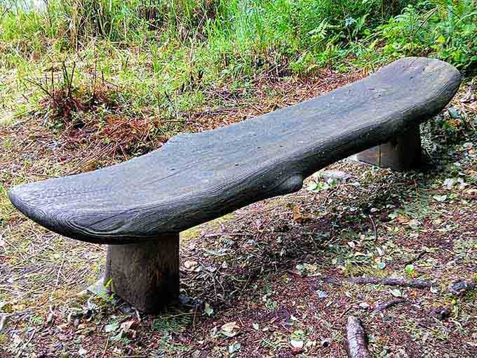 This beautifully carved dark wood bench along the trail isn't just a place to rest your feet, it's practically a sculpture in its own right.
