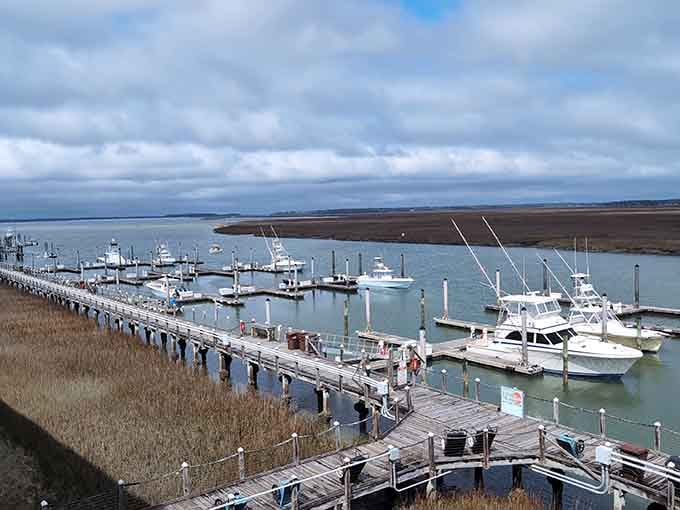 Boats lined up and ready at the marina, each one quietly promising an adventure out on the open water.