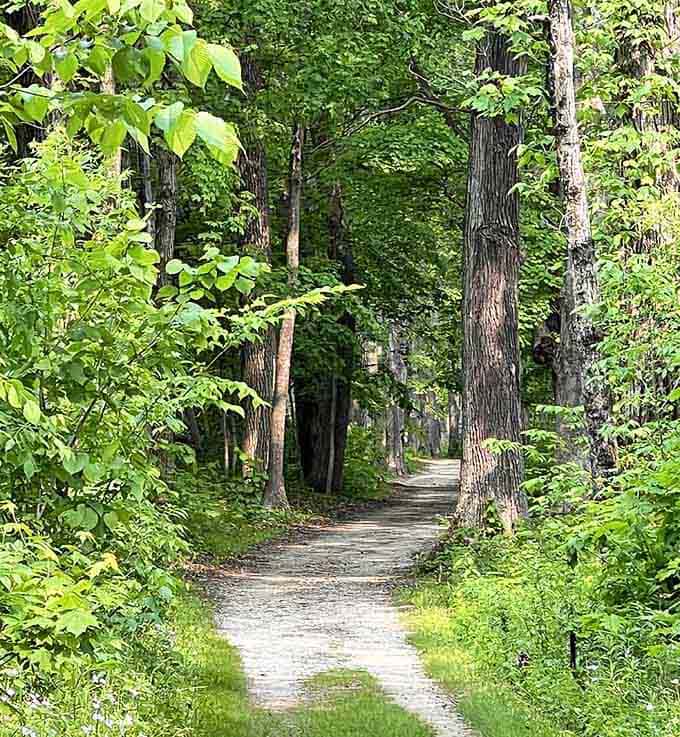 Tree-lined paths invite you to wander slowly, breathe deeply, and forget your phone exists for a while.