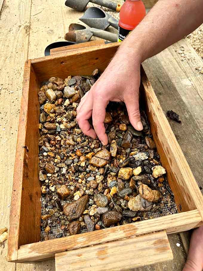 Every pebble in that sluice box is a small mystery waiting for patient hands to solve.