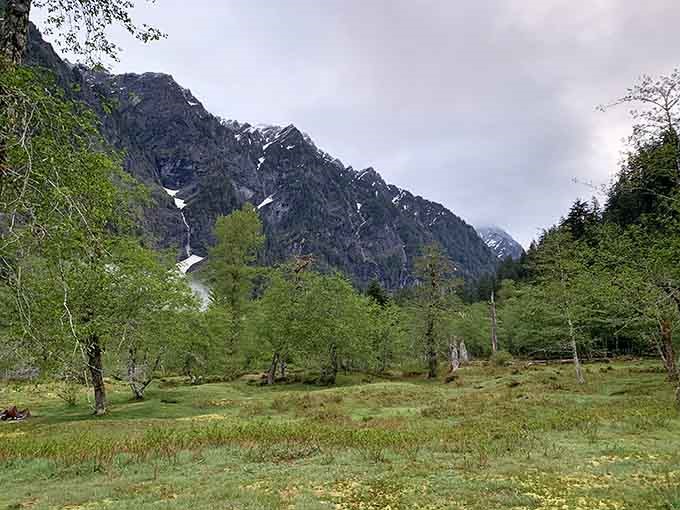Snow-capped peaks framed by evergreens: Washington's version of a museum-quality masterpiece.