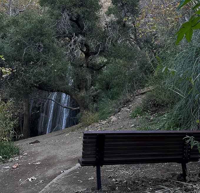 A lone bench faces the falls through the trees, basically the best seat in the house, no reservation needed.