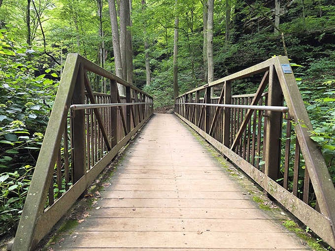 A sturdy bridge leading deeper into the forest. Whatever's on the other side, you absolutely need to see it.