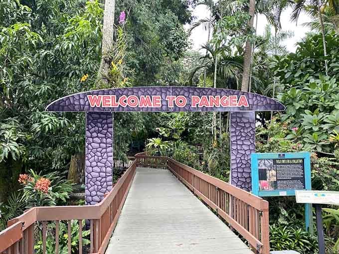 Cross the bridge into Pangea at Flamingo Gardens and suddenly your Tuesday feels considerably more adventurous than planned.
