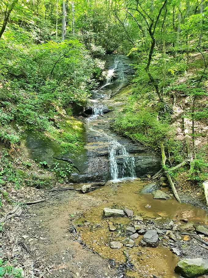 Tucked into the forest, this cascading waterfall reminds you that the best things are often found off the main road.
