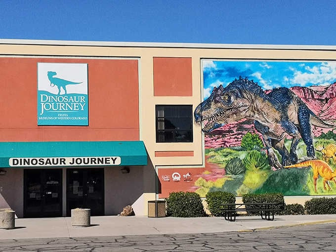 Dinosaur Journey Museum proves that Fruita's most impressive residents arrived about 150 million years before everyone else did.