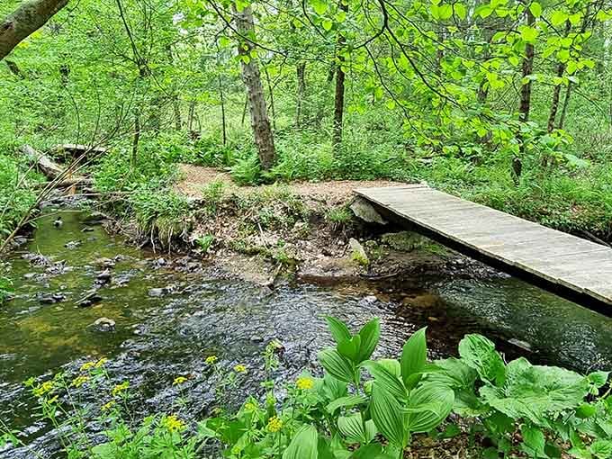 A small wooden footbridge over a clear rocky stream, surrounded by lush green plants, is basically a postcard that walks you across it.